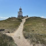 Cattle Point Trail, Washington - 121 Reviews, Map | AllTrails