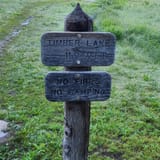 Timber Lake Trail, Colorado - 538 Reviews, Map | AllTrails