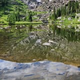 Timber Lake Trail, Colorado - 538 Reviews, Map | AllTrails