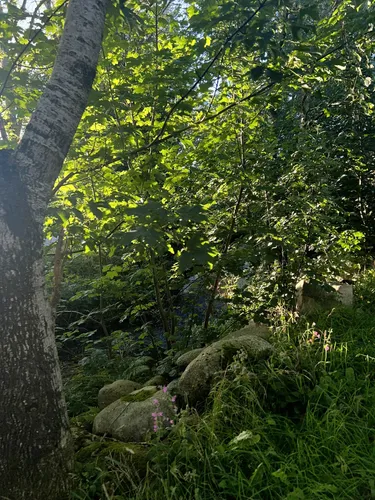 2023 Best Historic Site Trails in Nærbø | AllTrails
