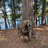 Joyce Estate Trail, Minnesota - 26 Reviews, Map | AllTrails