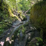 Flowerpot Island Loop Trail, Ontario, Canada - 489 Reviews, Map | AllTrails