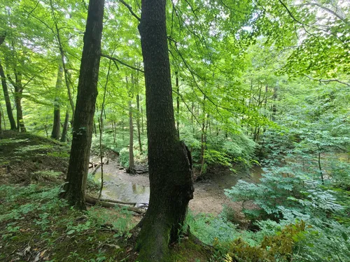 Best Hikes and Trails in Pine Quarry Park | AllTrails