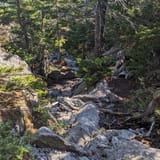Burnt Rock Mountain Trail, Vermont - 625 Reviews, Map | AllTrails