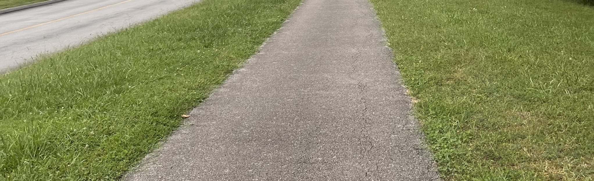 Fort Sanders West Walking Path: 17 Reviews, Map - Tennessee | AllTrails