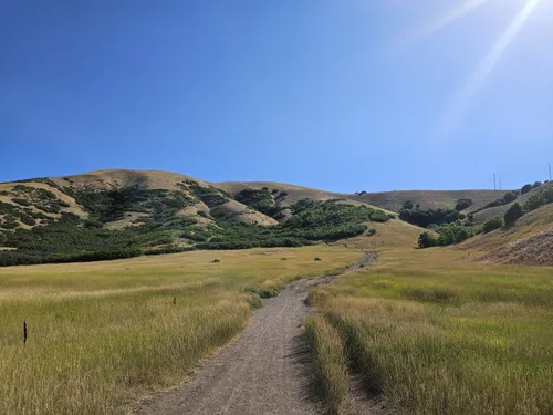 Best 10 Hikes and Trails in Foothills Natural Area | AllTrails