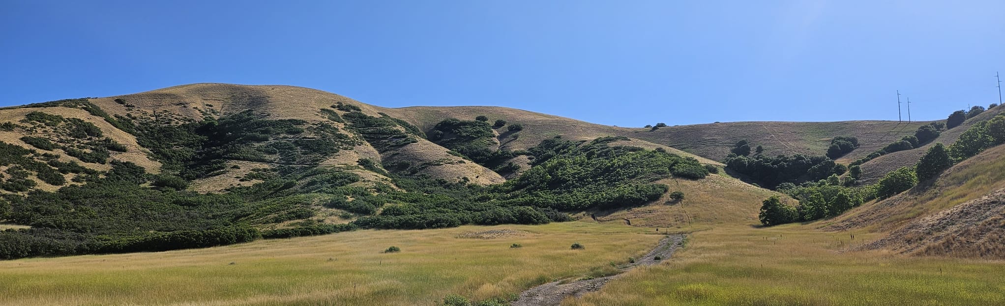 Meadow Trail, Utah - 56 Reviews, Map | AllTrails