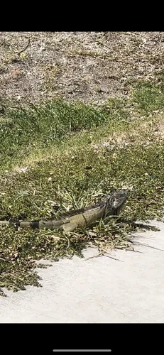 Best Hikes and Trails in Key West | AllTrails