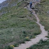 Byers Peak Trail, Colorado - 441 Reviews, Map | AllTrails