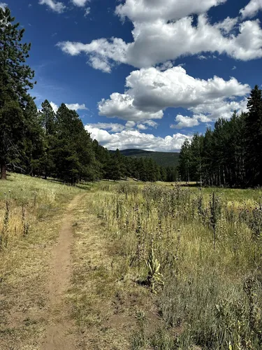 10 Best Trails and Hikes in Angel Fire | AllTrails