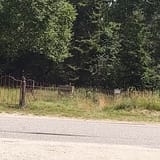 Petit Manan Wildlife Refuge Hollingsworth Trail, Maine - 11 Reviews ...