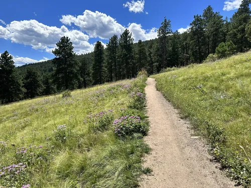 10 Best Trails and Hikes in Evergreen | AllTrails