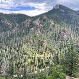 Columbine Trail, Colorado - 1,843 Reviews, Map | AllTrails