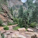 Columbine Trail, Colorado - 1,843 Reviews, Map | AllTrails