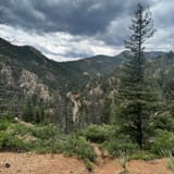 Columbine Trail, Colorado - 1,843 Reviews, Map | AllTrails