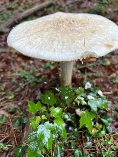 Best Hikes and Trails in Tuttle Educational State Forest | AllTrails