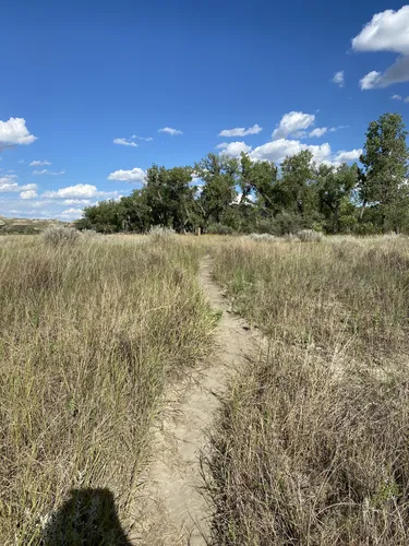 10 Best Trails and Hikes in Medora | AllTrails