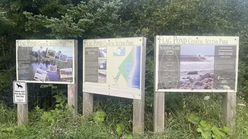 2023 Best Forest Trails in Cow Bay | AllTrails