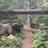 Skookum Flats Trail, Washington - 833 Reviews, Map | AllTrails