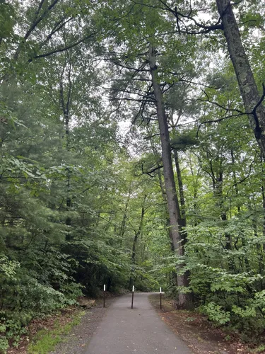 Best Hikes and Trails in Locust Lake State Park | AllTrails