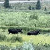 Animas Forks Ghost Town OHV Route, Colorado - 407 Reviews, Map | AllTrails