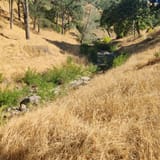Curry Canyon Trail, California - 101 Reviews, Map | AllTrails