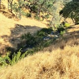 Curry Canyon Trail, California - 101 Reviews, Map | AllTrails