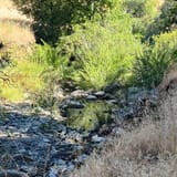Curry Canyon Trail, California - 101 Reviews, Map | AllTrails