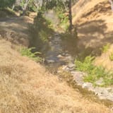 Curry Canyon Trail, California - 101 Reviews, Map | AllTrails