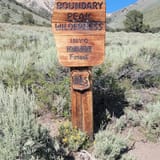 Boundary Peak Trail, Nevada - 198 Reviews, Map | AllTrails