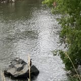 South Platte River Trail, Colorado - 736 Reviews, Map | AllTrails