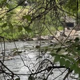 South Platte River Trail, Colorado - 751 Reviews, Map | AllTrails