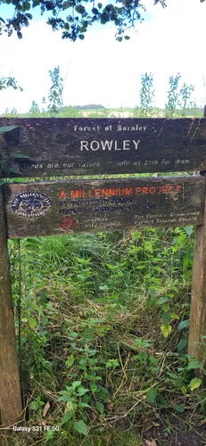 Best Hikes and Trails in Towneley Park | AllTrails
