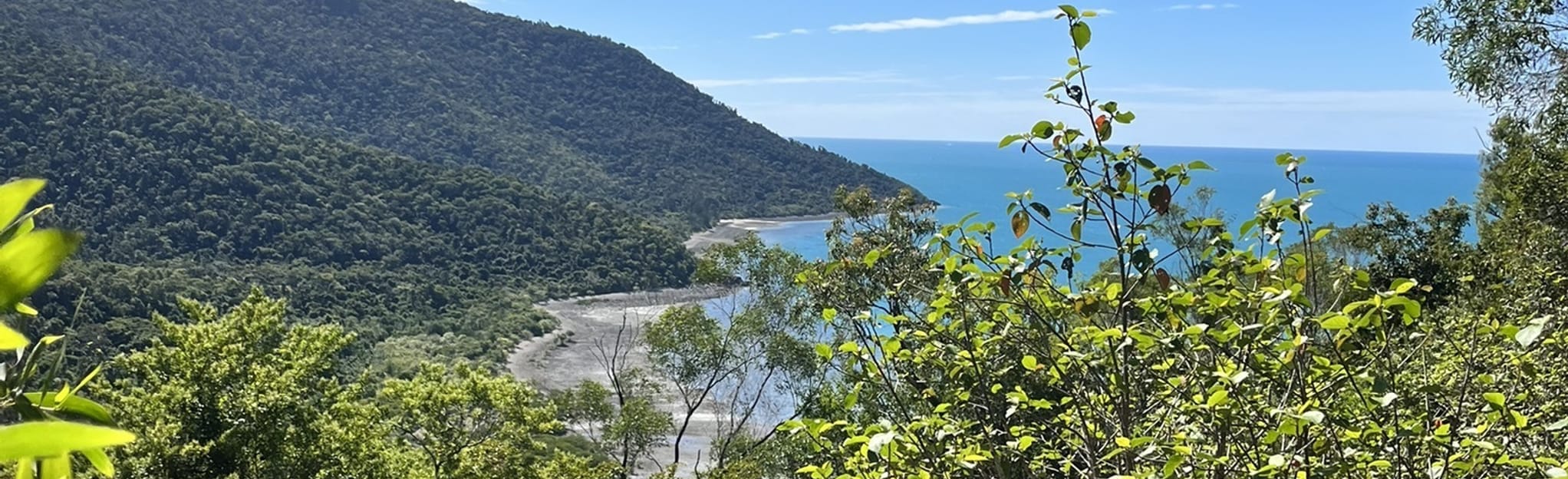 Mount Rooper and Swamp Bay Loop: 282 Fotos - Queensland, Australien ...