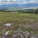 Curry Ridge Trail, Alaska - 756 Reviews, Map | AllTrails