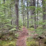 Helmcken Falls Rim Trail, British Columbia, Canada - 440 Reviews, Map ...