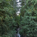 Hidden Falls Nature Park Trail, Oregon - 541 Reviews, Map | AllTrails