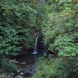 Hidden Falls Nature Park Trail, Oregon - 541 Reviews, Map | AllTrails