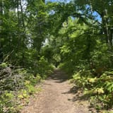 Waterloo-Pinckney Trail, Michigan - 482 Reviews, Map | AllTrails