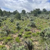 Sutey Ranch, Colorado - 115 Reviews, Map | AllTrails