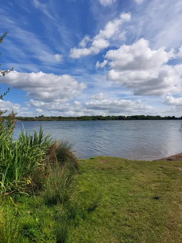 Melhores caminhadas e trilhas em Chasewater Country Park | AllTrails