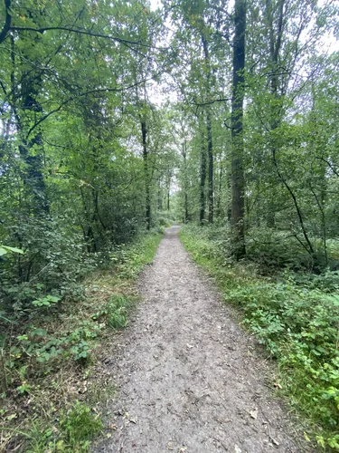 Best Hikes and Trails in Onnen | AllTrails