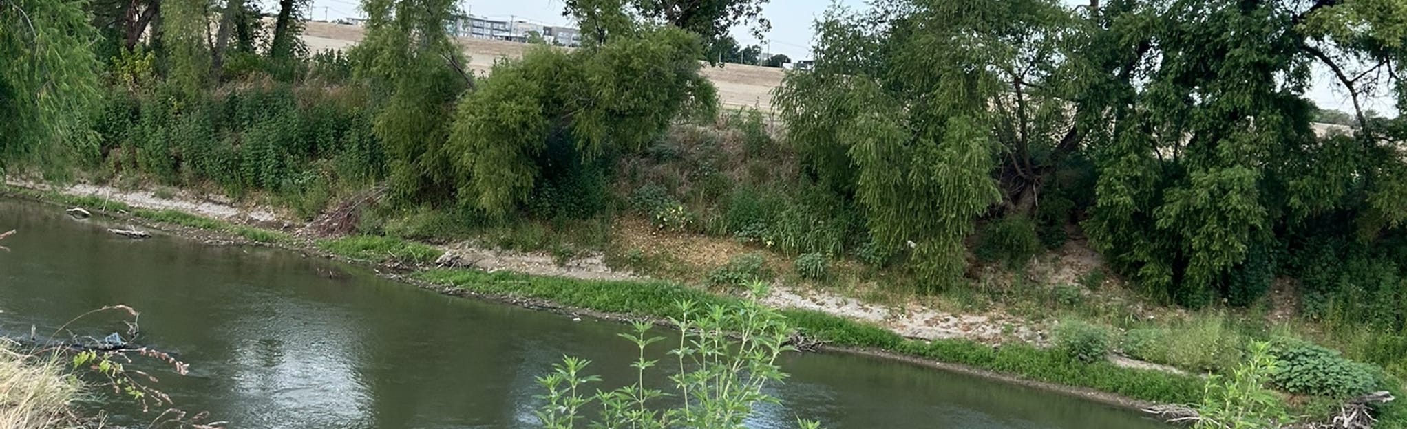 Trammell Crow Park, Texas - 97 Reviews, Map | AllTrails
