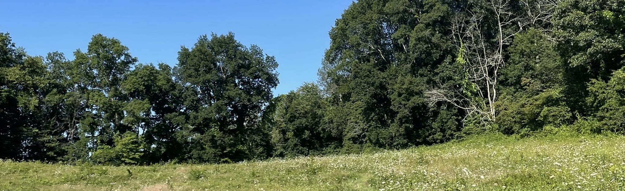 Preston Nature Preserve Trail, Connecticut - 34 Reviews, Map | AllTrails