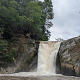 Elk River Falls Trail, North Carolina - 689 Reviews, Map | AllTrails