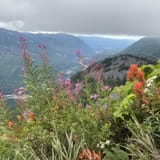 Bandera Mountain Summit, Washington - 1,407 Reviews, Map | AllTrails