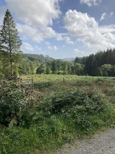 10 Best Walking Trails in Hawkshead | AllTrails