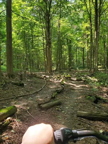 Best Hikes and Trails in Bendix Woods County Park | AllTrails