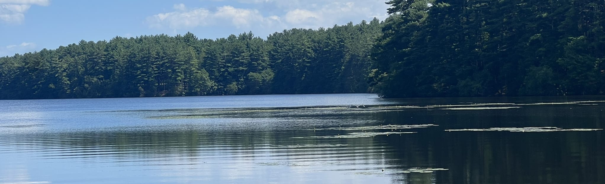 Middleton Pond Loop: 61 Reviews, Map - Massachusetts | AllTrails
