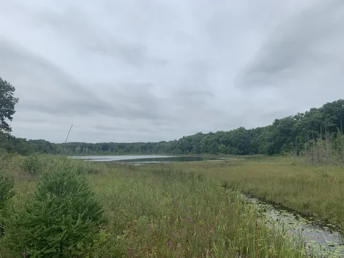 2023 Best Long Trails in Waterloo State Recreation Area | AllTrails